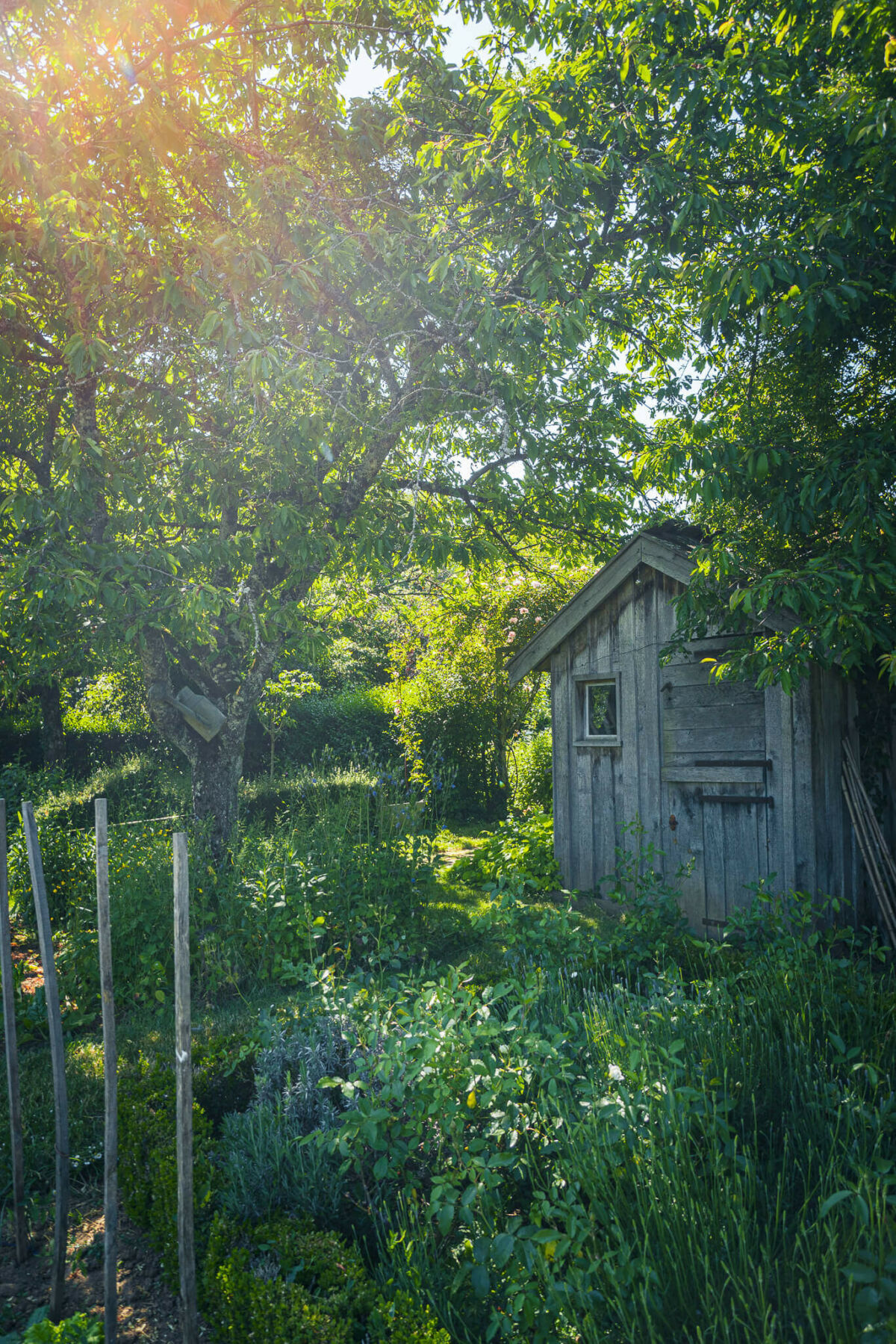 Visiter le Jardin à l'anglaise du Jardin de Marie